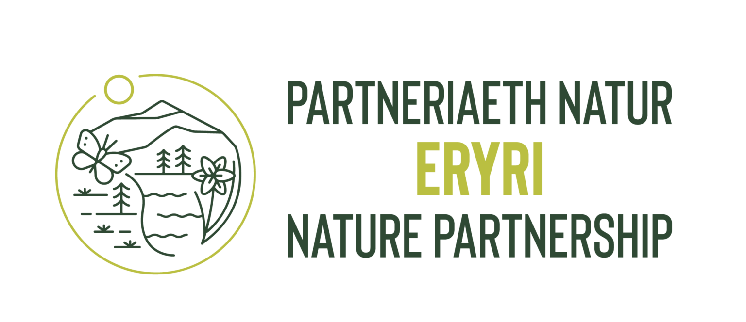 Partneriaeth Natur Eryri | Eryri National Park